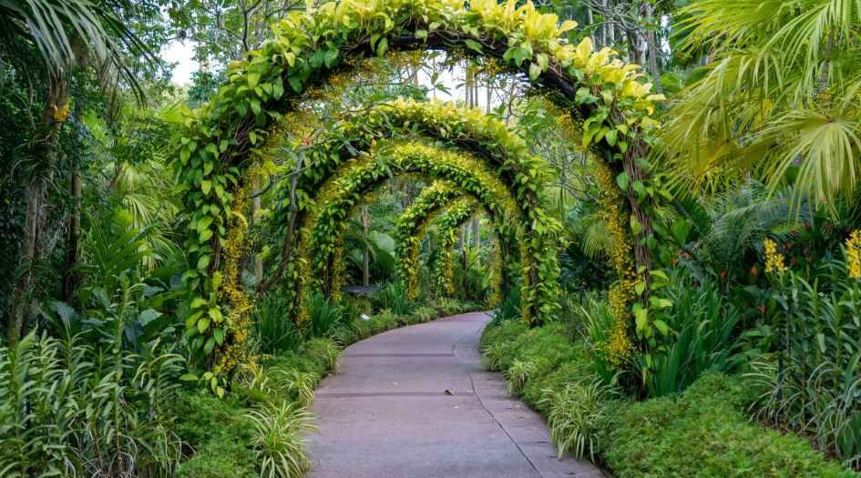 Proviso Galaxy Point of View Airoli Maplewoods 2 at Palm Beach Road NX